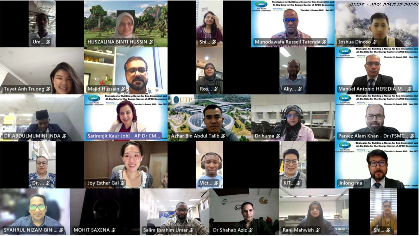 APEC Webinar on Strategies for Building a Nexus for Eco-Innovation and ...